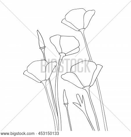 Vector y foto Hand Drawn Nature (prueba gratis) | Bigstock