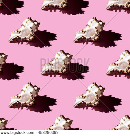 Seamless Pattern Clam Image & Photo (Free Trial) | Bigstock