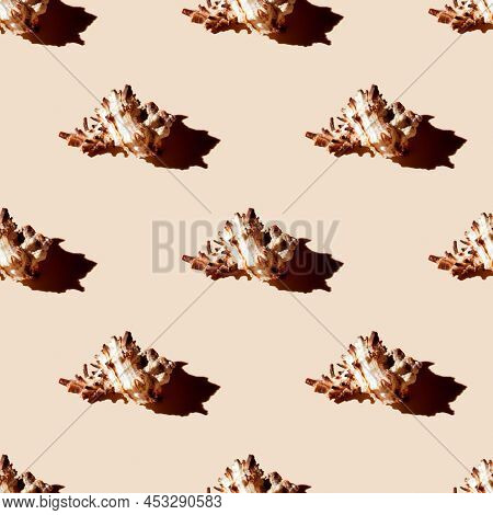Seamless Pattern Clam Image & Photo (Free Trial) | Bigstock