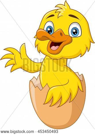 Cute Baby Duck Vector & Photo (Free Trial) | Bigstock
