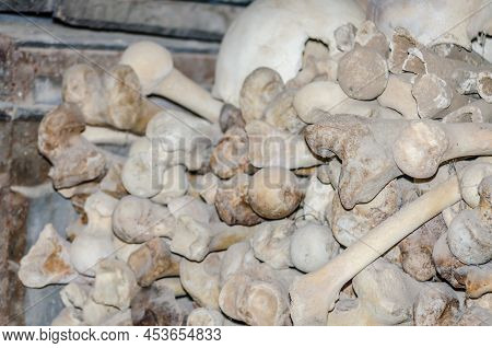 Holy Bones Deceased Image & Photo (Free Trial) | Bigstock