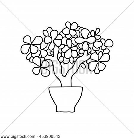 Potted Tree Sketch. Vector & Photo (Free Trial) | Bigstock