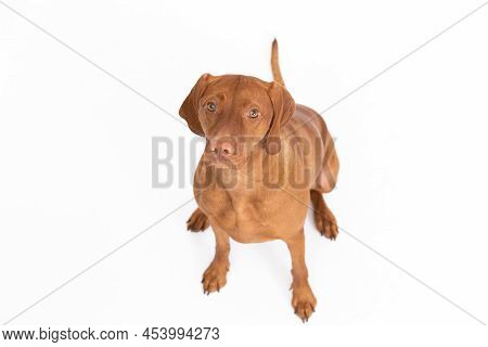 Aerial View Seated Image & Photo (Free Trial) | Bigstock