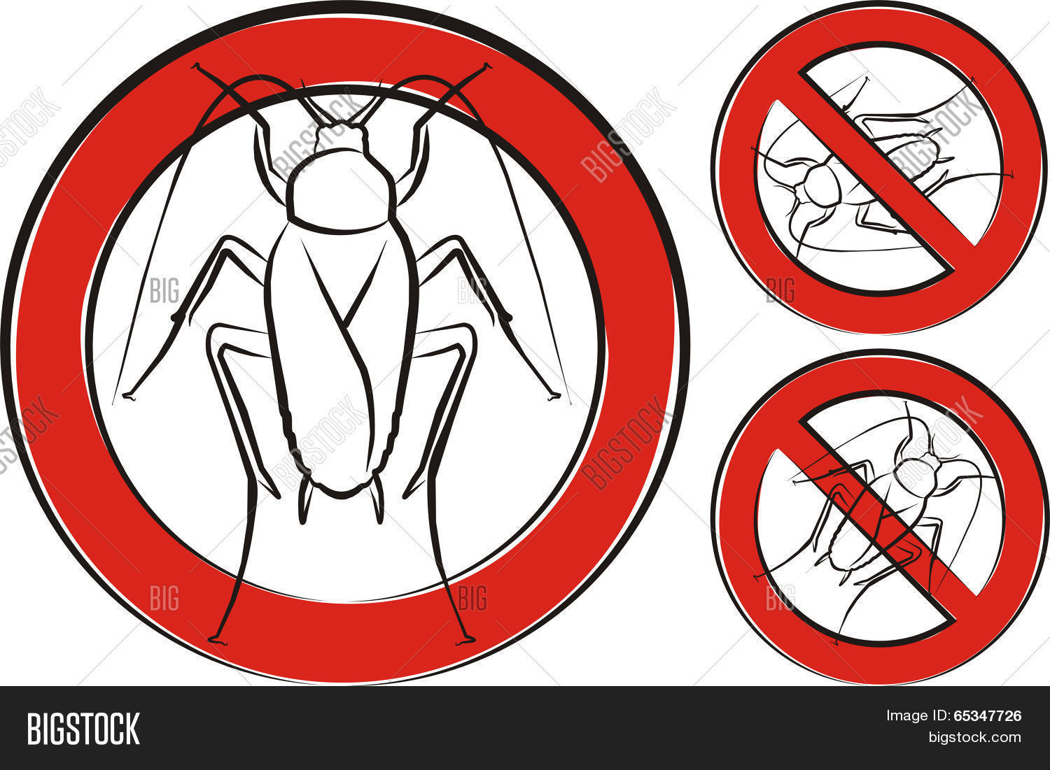 Cockroach - Warning Vector & Photo (Free Trial) | Bigstock