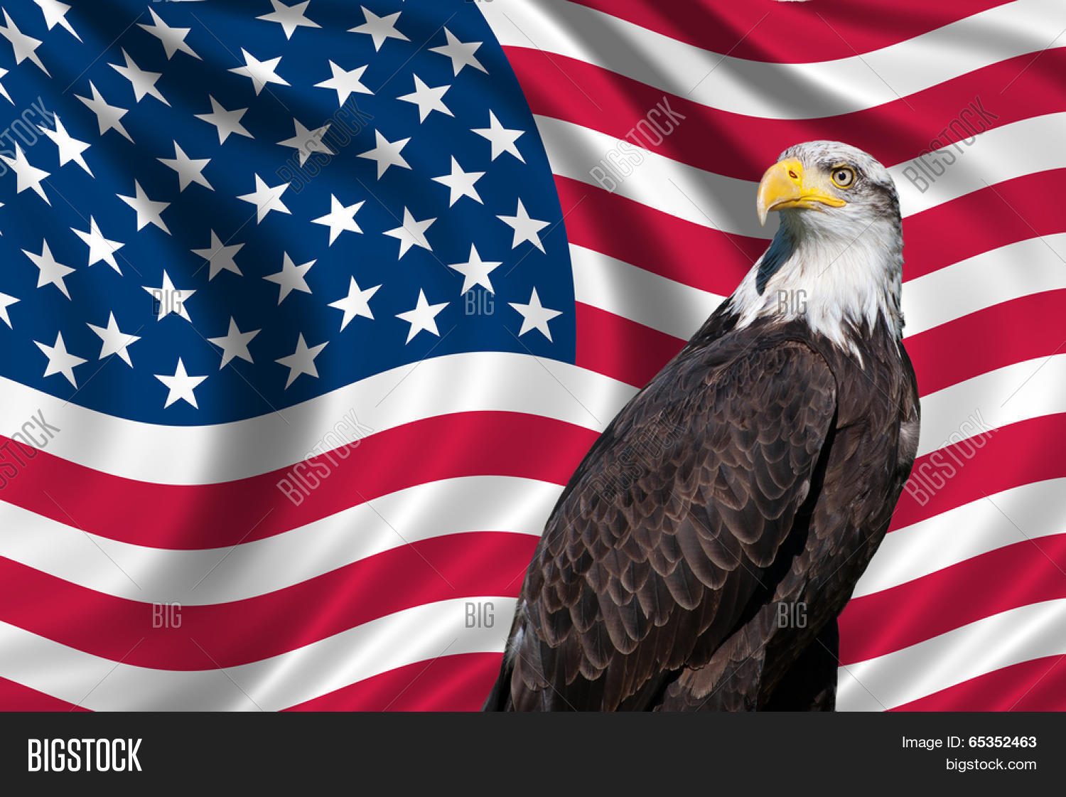 Patriotic Symbol Image & Photo (Free Trial) | Bigstock