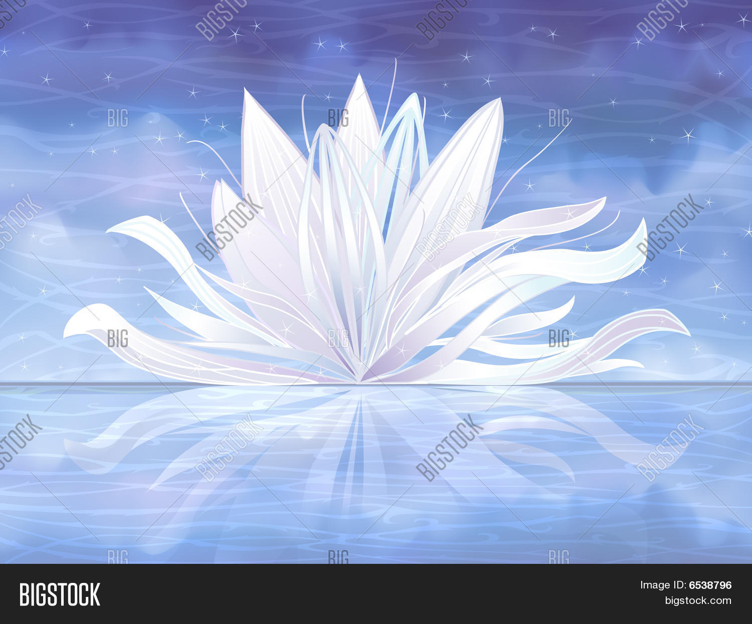 Vector Water Lily Vector & Photo (Free Trial) | Bigstock