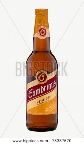 Gambrinus Premium Image & Photo (Free Trial) | Bigstock