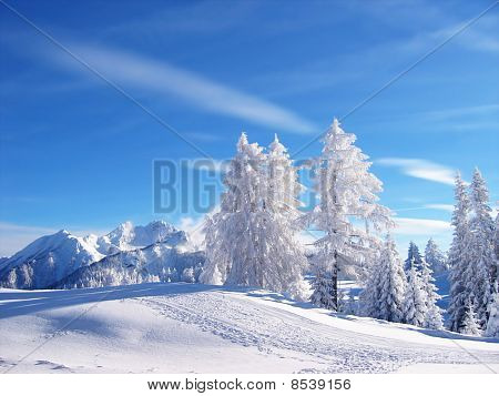 Nice Winter Day Image & Photo (Free Trial) | Bigstock