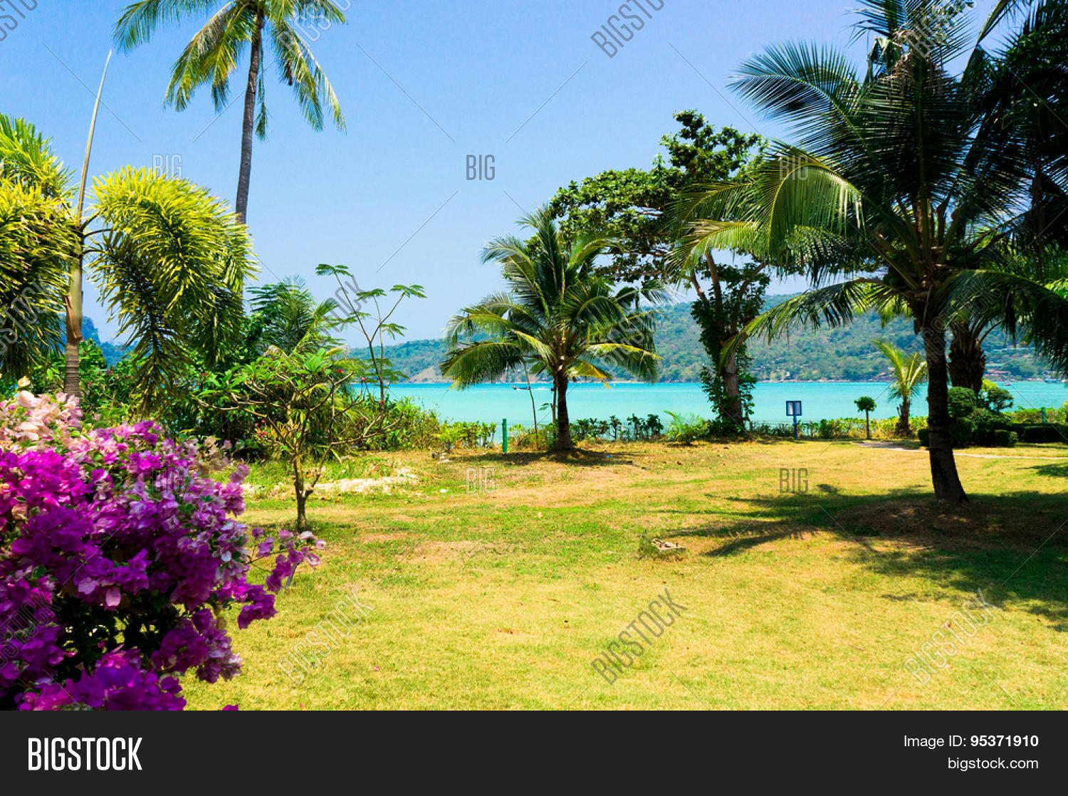 Under Trees Island Image & Photo (Free Trial) | Bigstock
