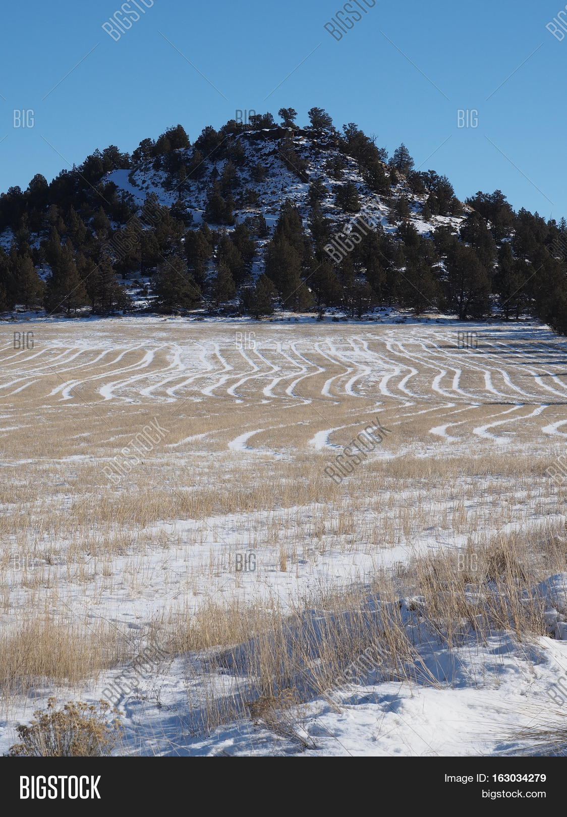 Hay Field Winter Image & Photo (Free Trial) | Bigstock