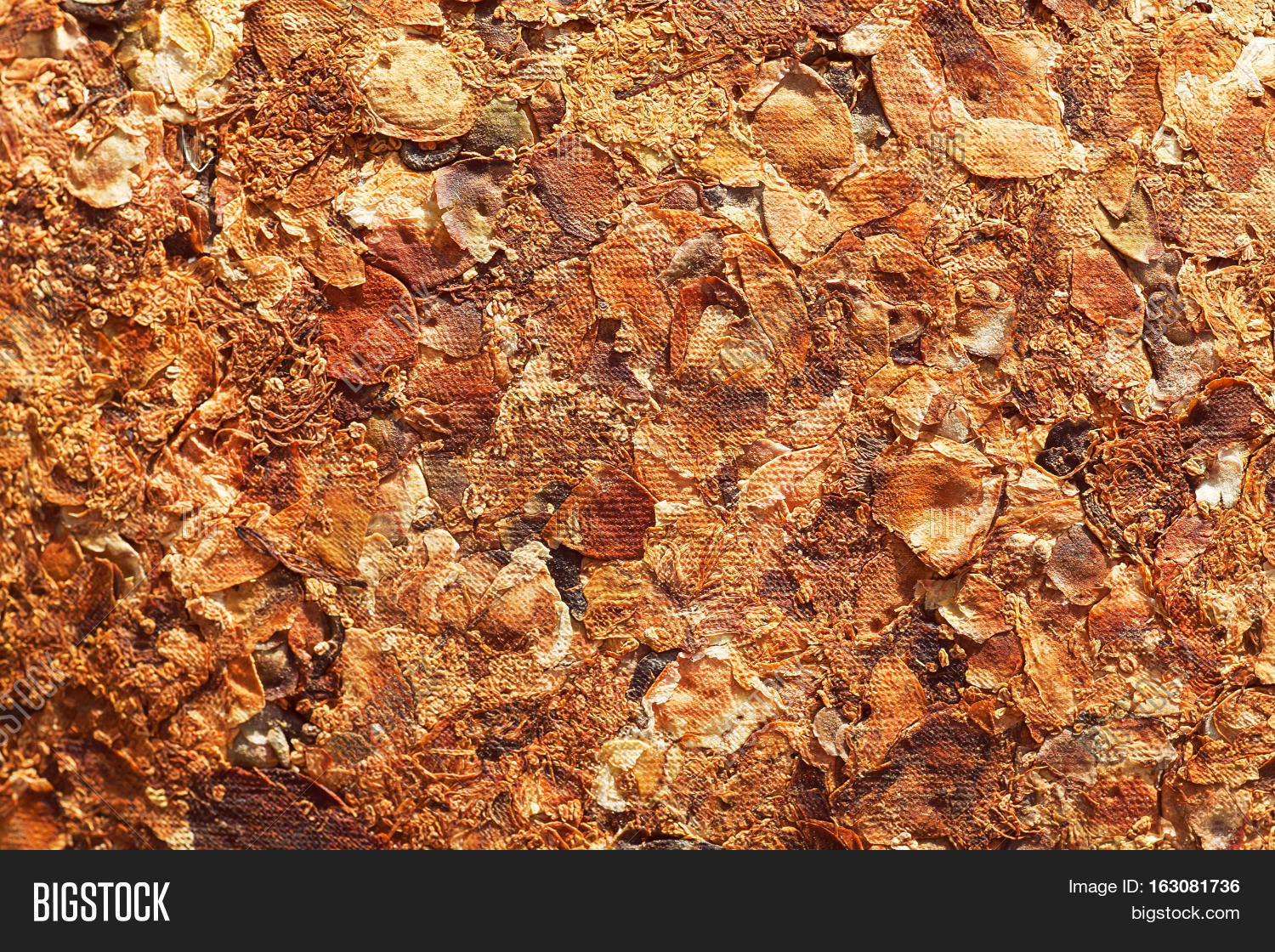 Texture Pressed Image & Photo (Free Trial) | Bigstock
