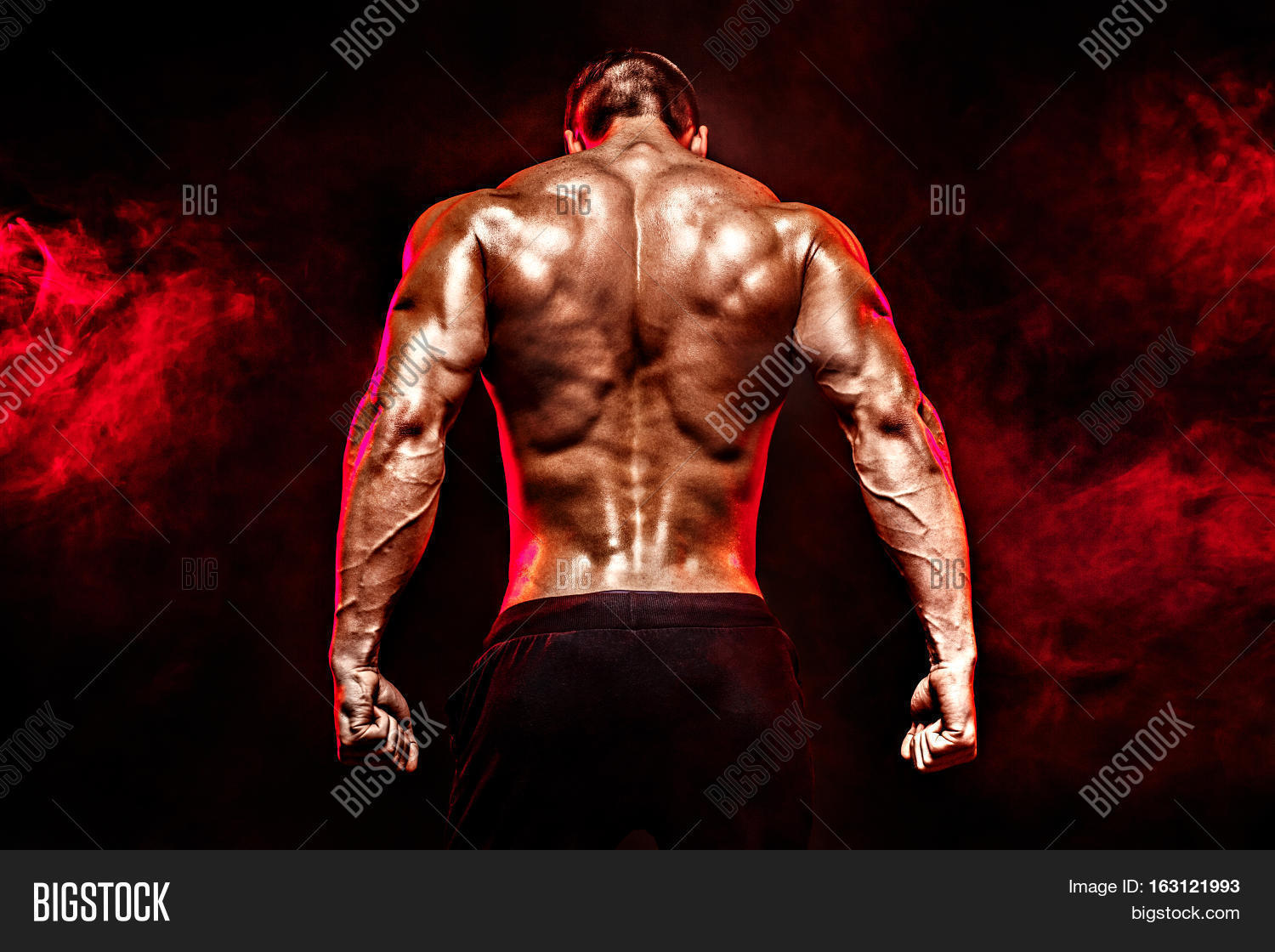 Back View Torso Image & Photo (Free Trial) | Bigstock