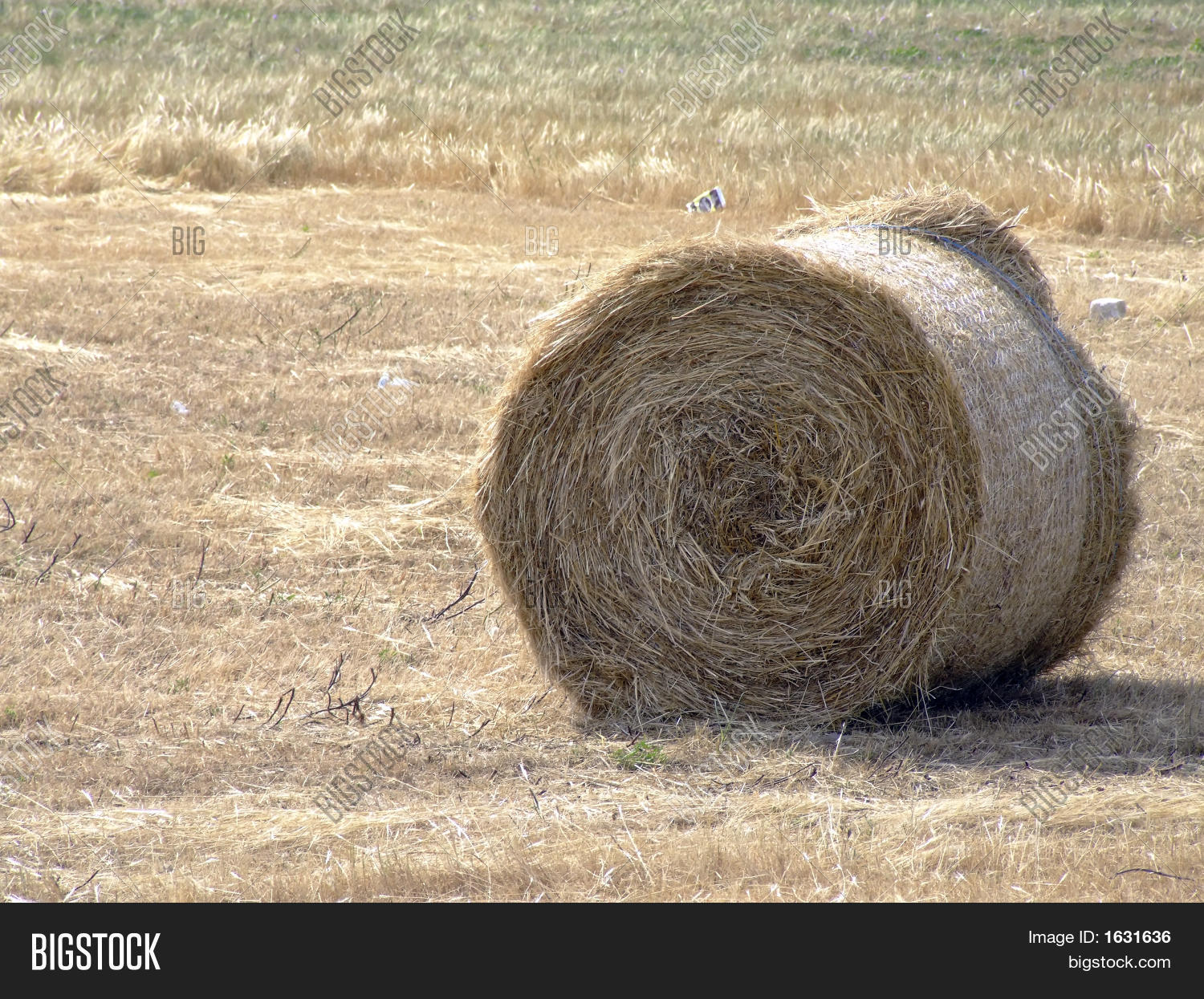 Haystacks Image & Photo (Free Trial) | Bigstock