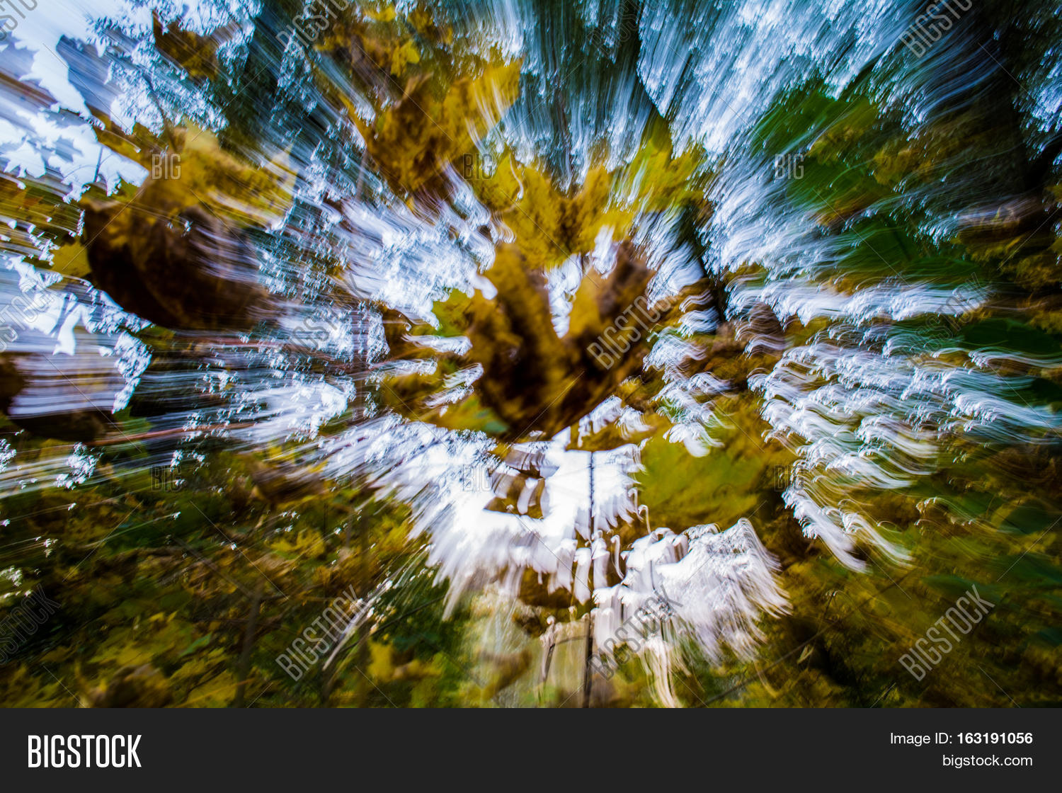 Autumn. Big Tree Park Image & Photo (Free Trial) | Bigstock