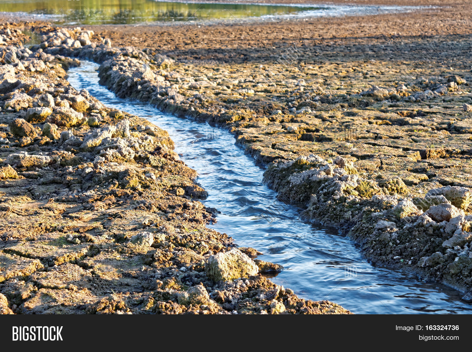 Water Flows Into Small Image & Photo (Free Trial) | Bigstock