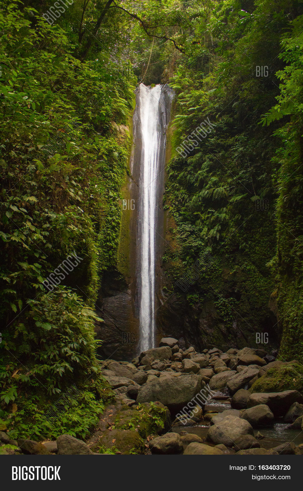 Tall Waterfall Jungle Image & Photo (Free Trial) | Bigstock