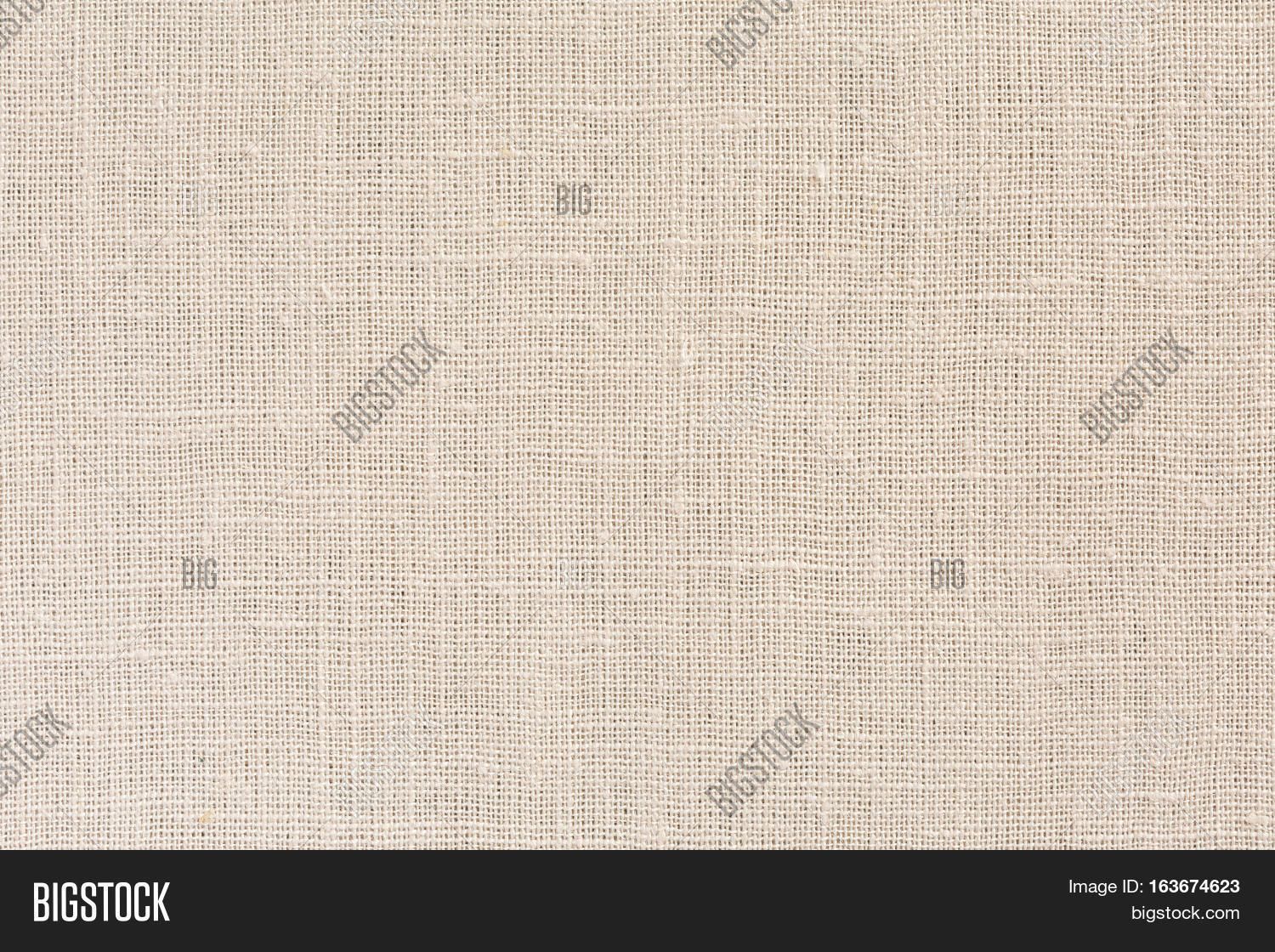 Neutral Beige Fabric Image & Photo (Free Trial) | Bigstock
