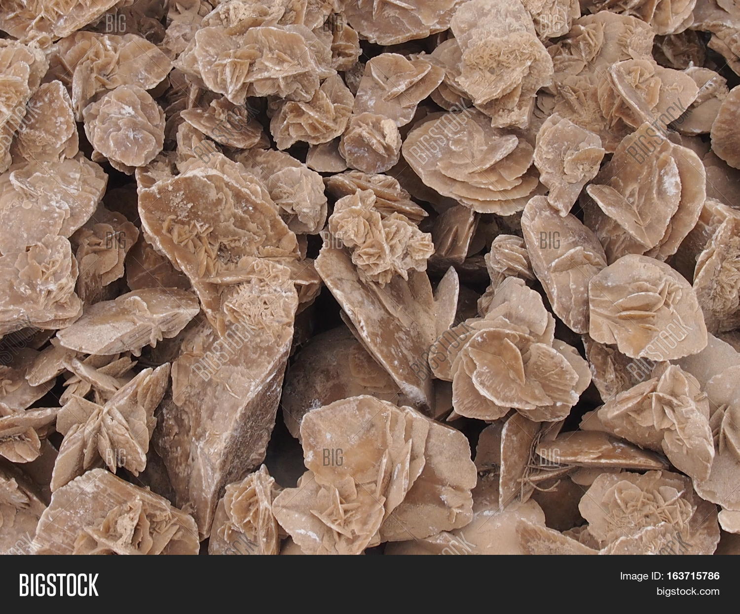 Exotic Souvenir Sahara Image & Photo (Free Trial) | Bigstock