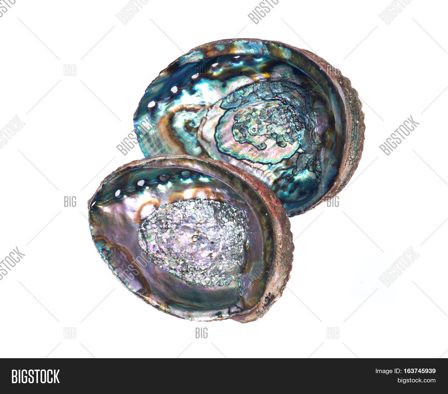 Bright Polished Image & Photo (Free Trial) | Bigstock