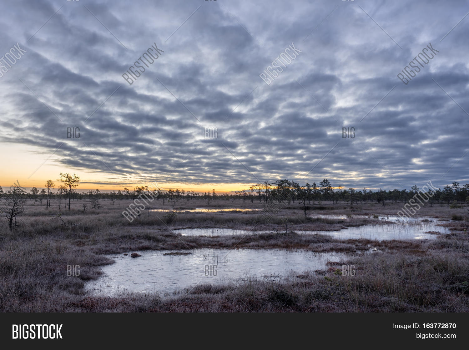 Sunrise Bog. Icy Cold Image & Photo (Free Trial) | Bigstock