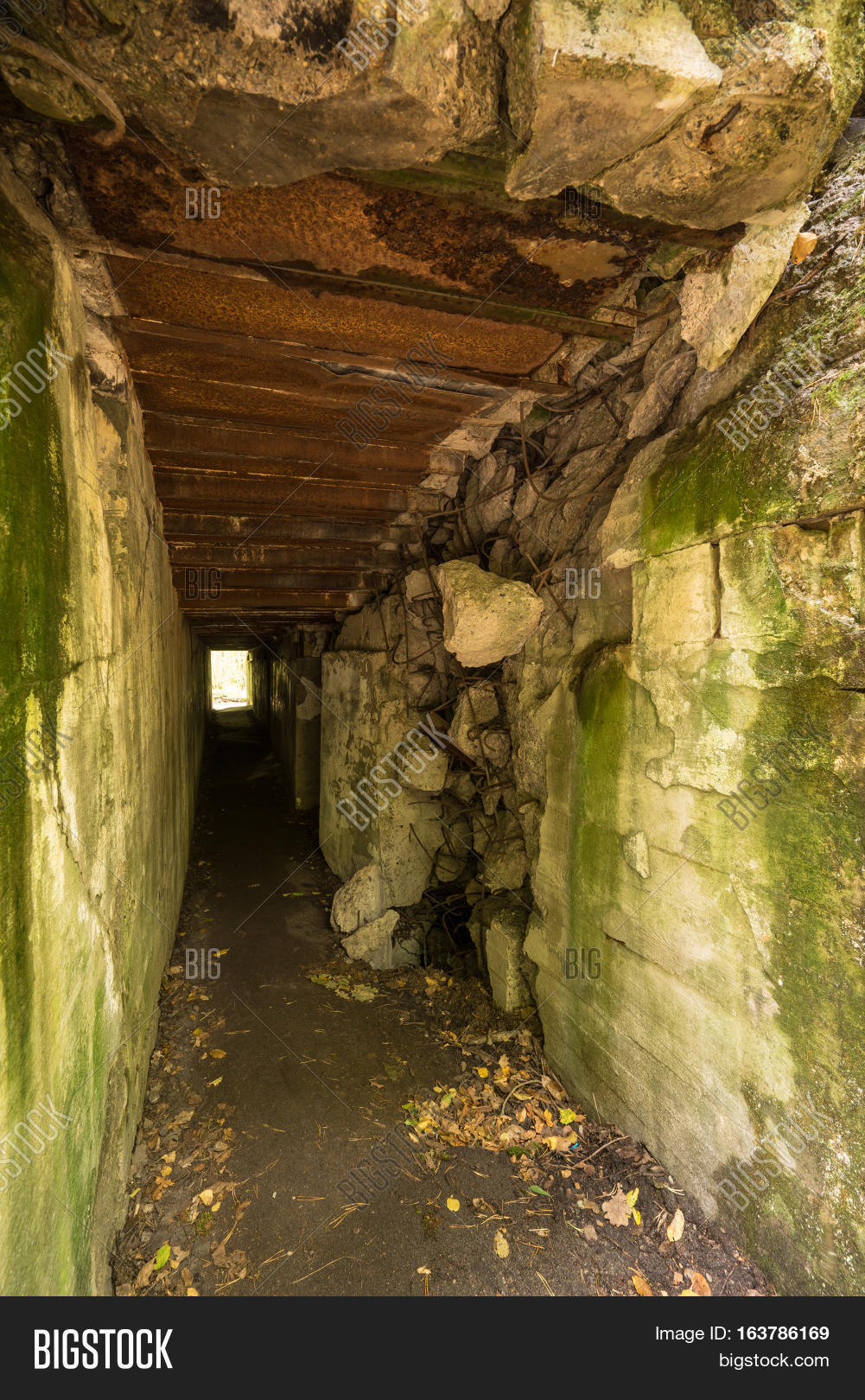 Wolf's Lair Adolf Image & Photo (Free Trial) | Bigstock