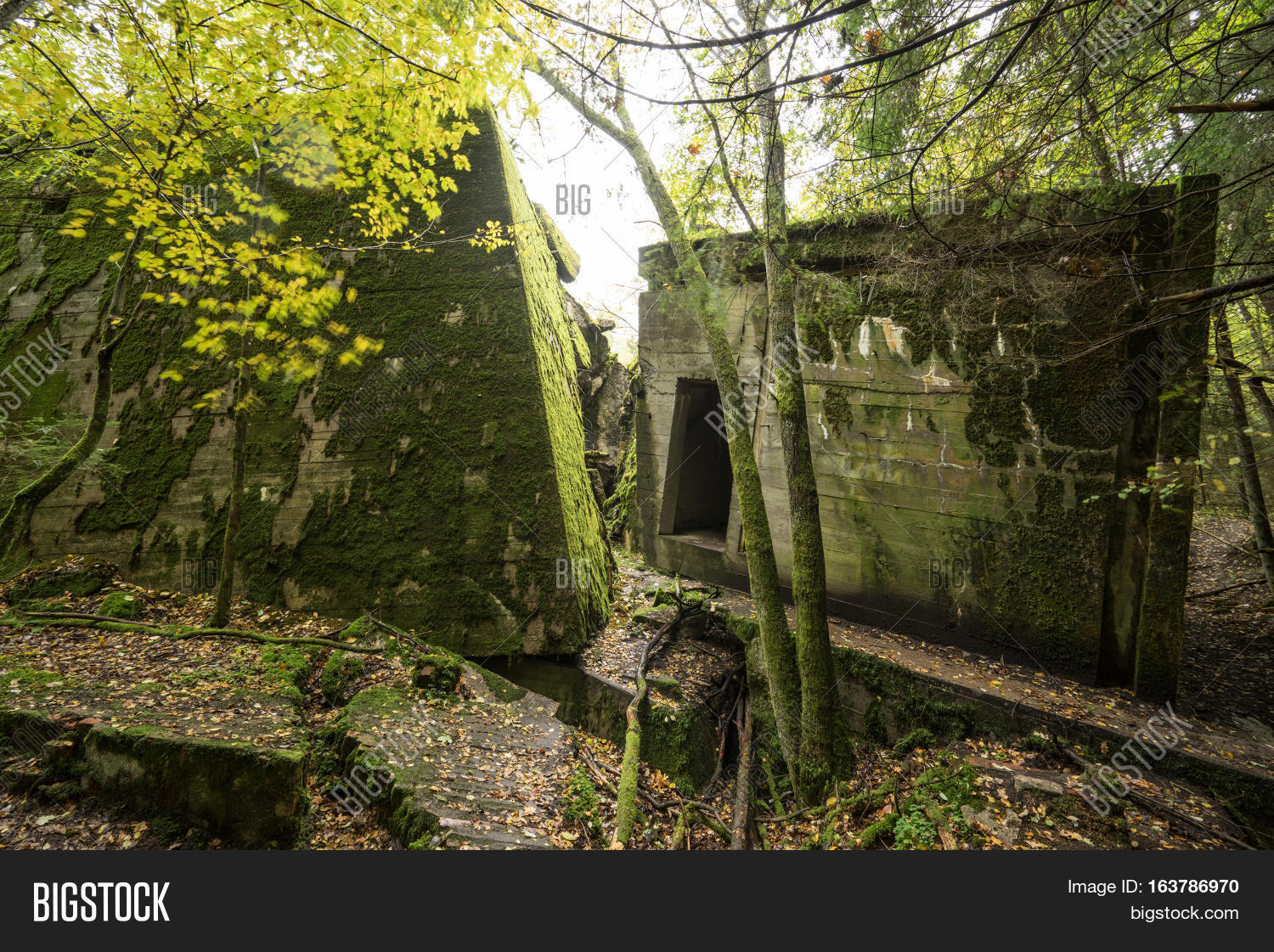 Wolf's Lair Adolf Image & Photo (Free Trial) | Bigstock