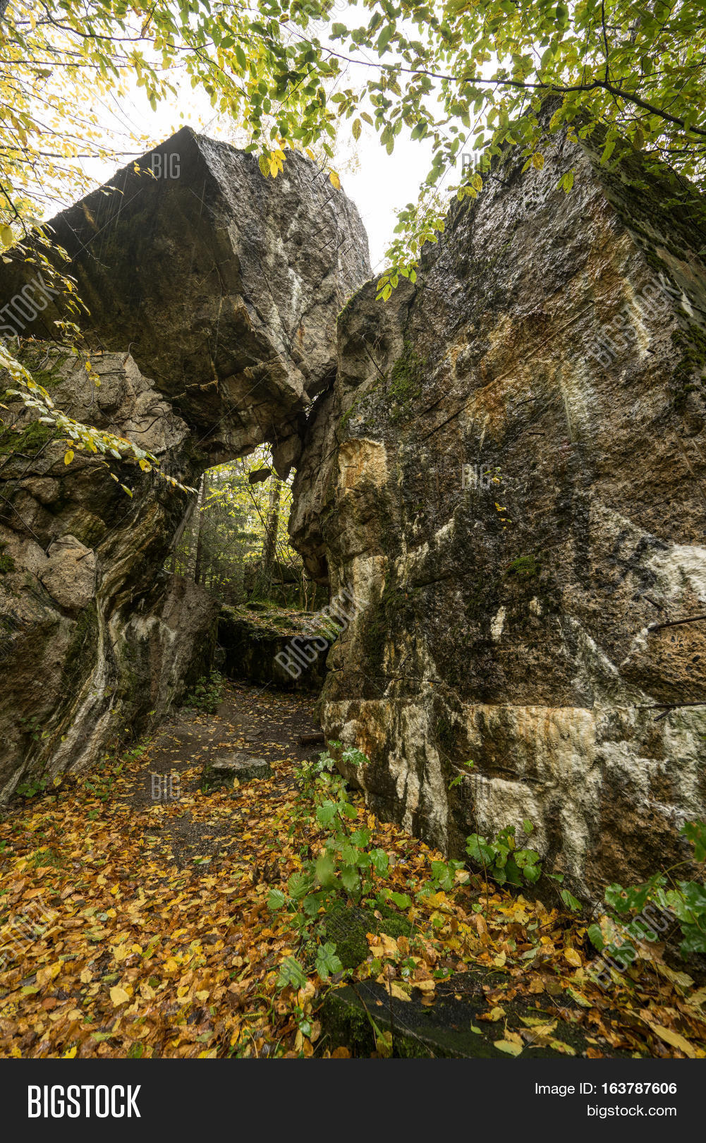 Wolf's Lair Adolf Image & Photo (Free Trial) | Bigstock