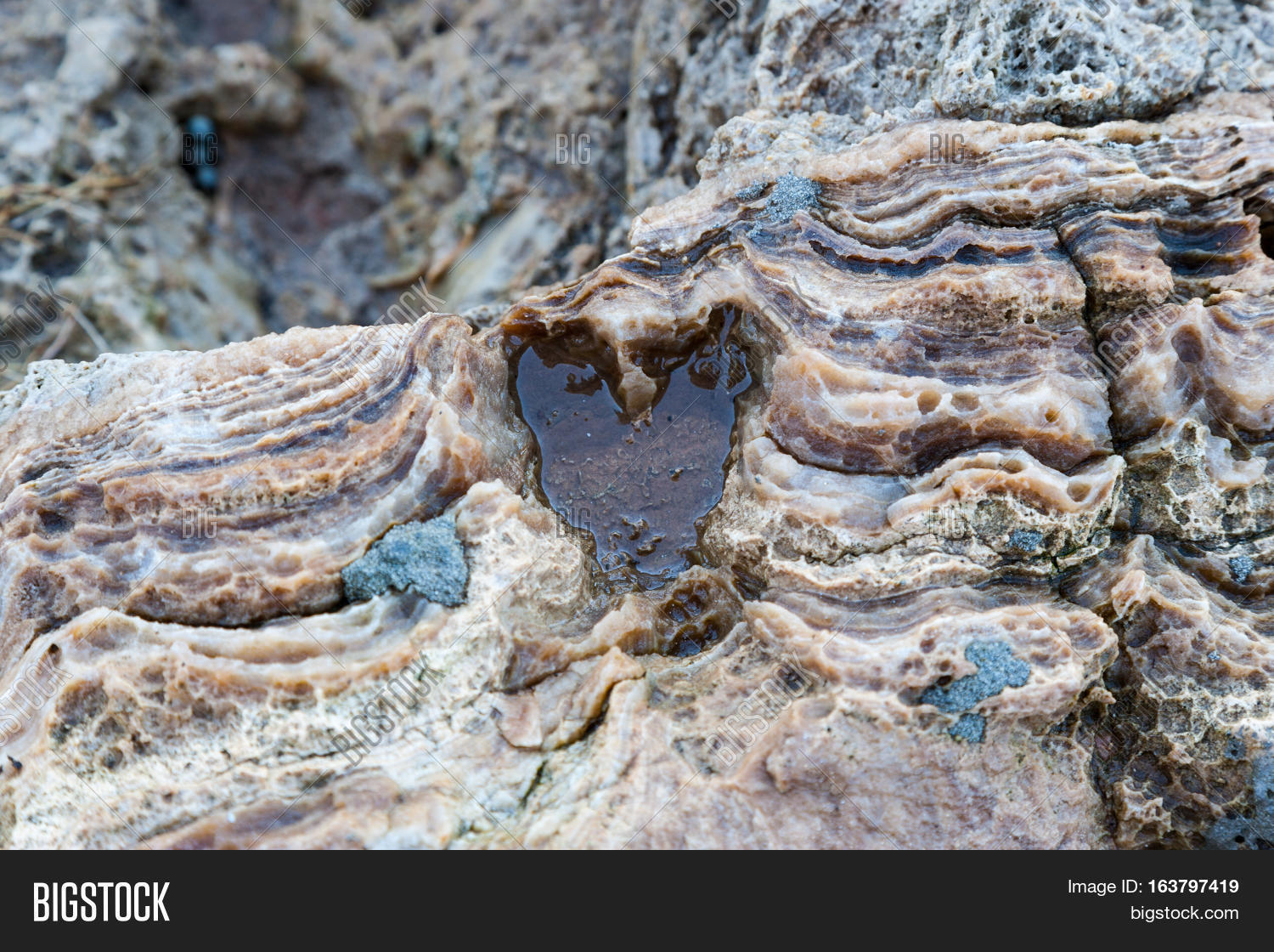 Small Rockpool Shape Image & Photo (Free Trial) | Bigstock
