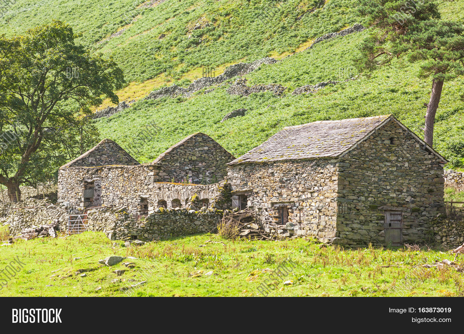 Abandoned Farm Image & Photo (Free Trial) | Bigstock