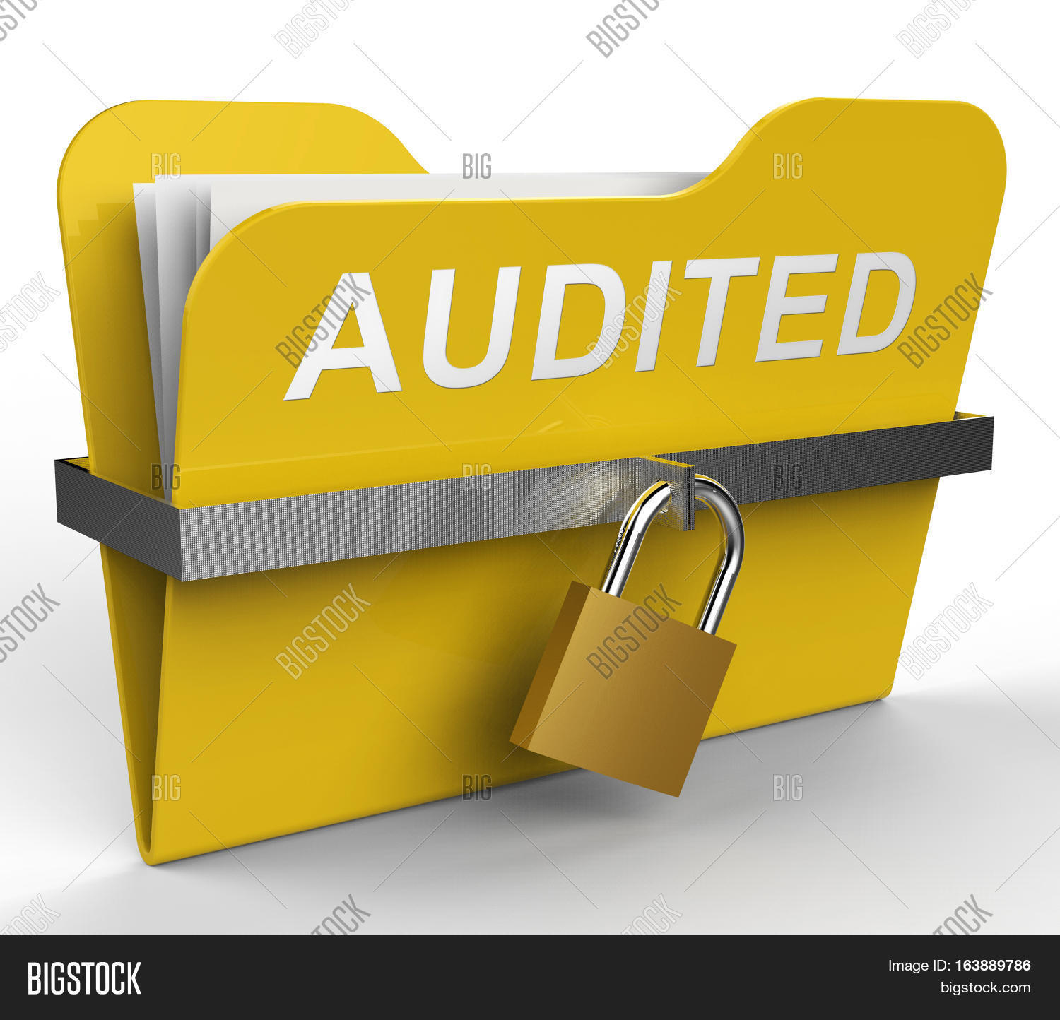 Audited File Indicates Image & Photo (Free Trial) | Bigstock