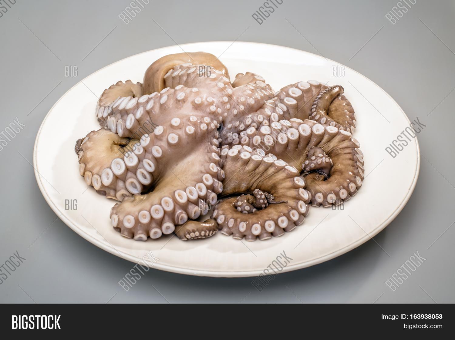 Octopus Plate