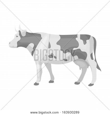 Sick Cow Bandage On Vector & Photo (Free Trial) | Bigstock