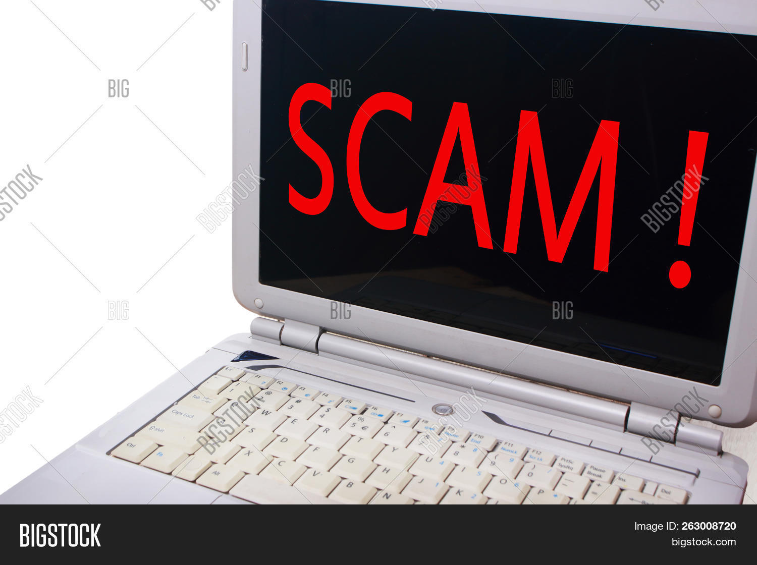 Scam Alert, Internet Image & Photo (Free Trial) | Bigstock