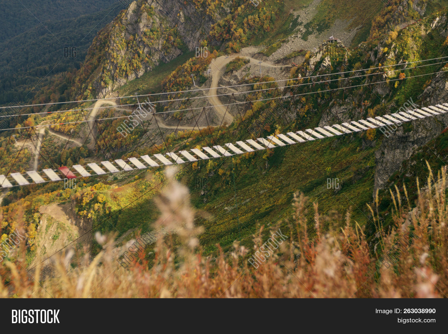 Wooden Bridge Between Image & Photo (Free Trial) | Bigstock