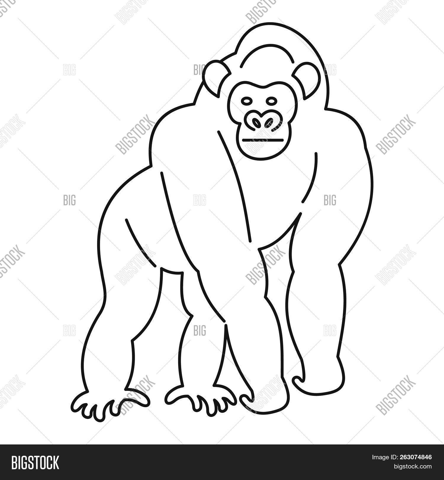 Monkey Icon Outline Image & Photo (Free Trial) | Bigstock