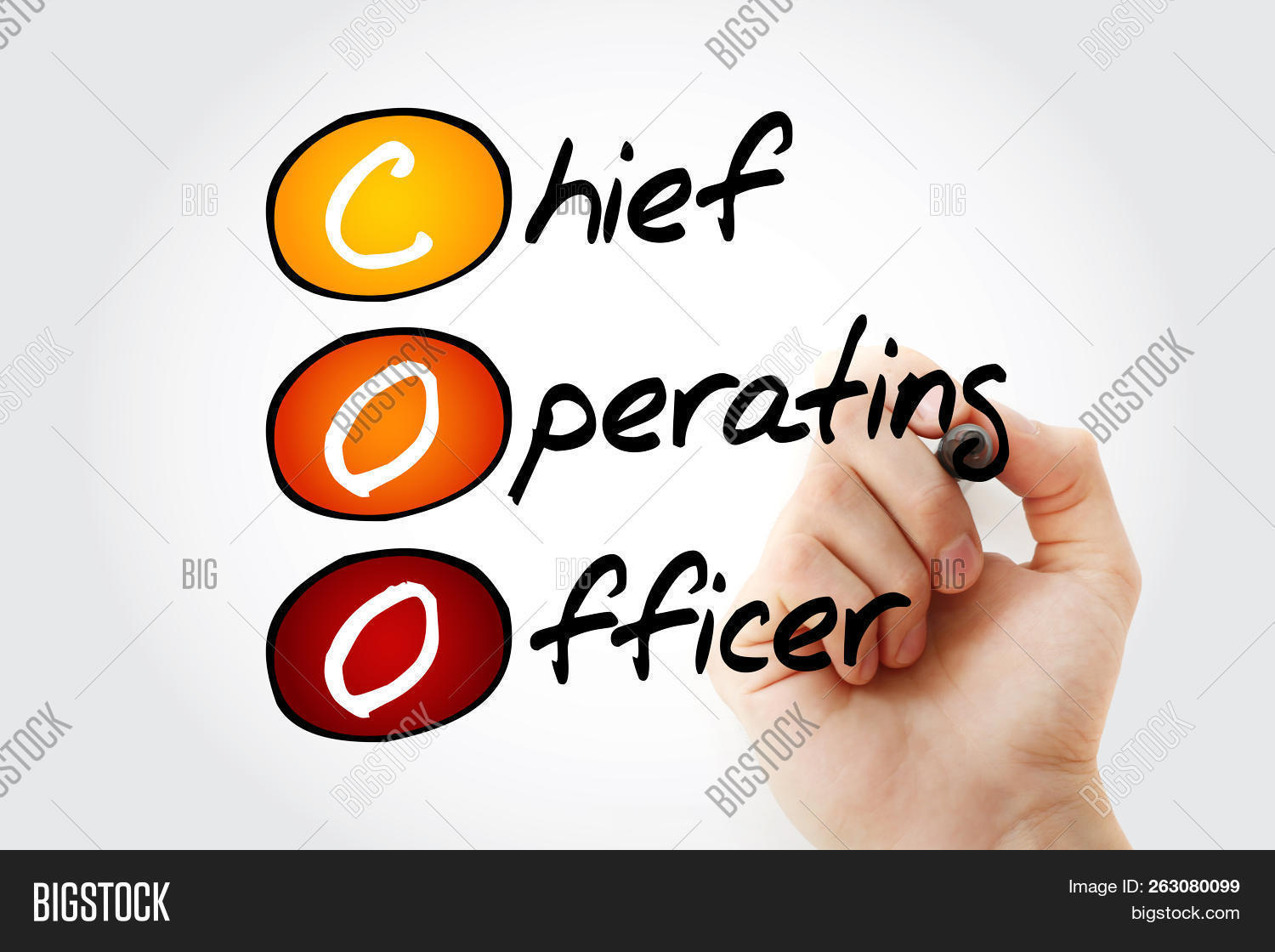 Coo - Chief Operating Image & Photo (Free Trial) | Bigstock