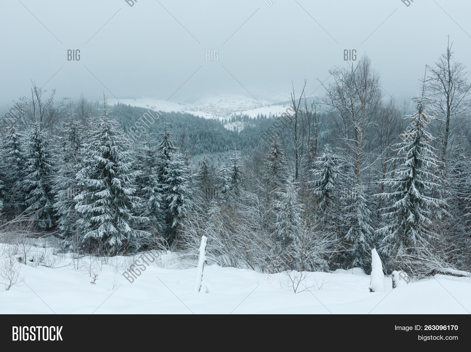 Early Morning Twilight Image & Photo (Free Trial) | Bigstock