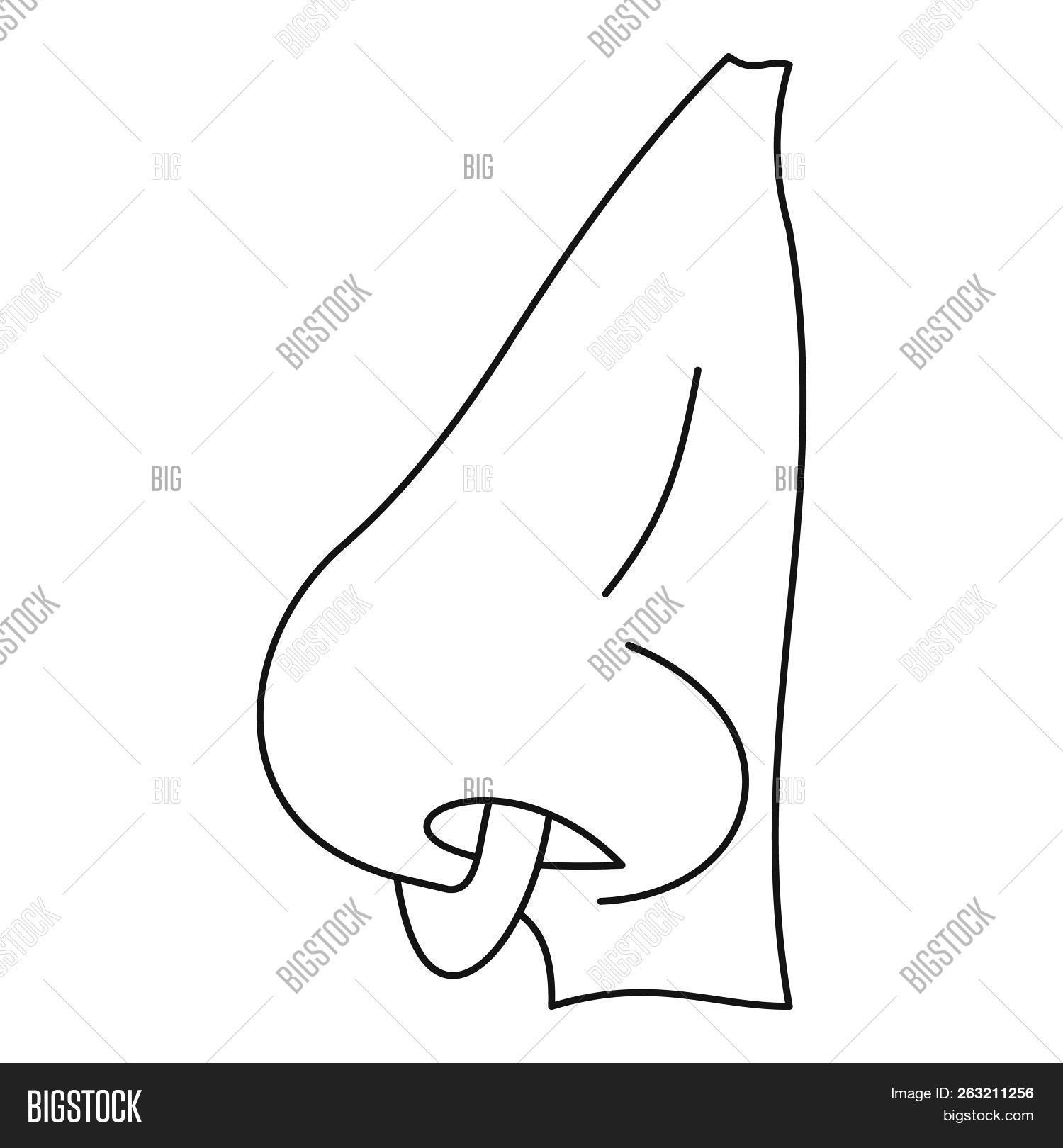 Human Nose Piercing Image & Photo (Free Trial) | Bigstock