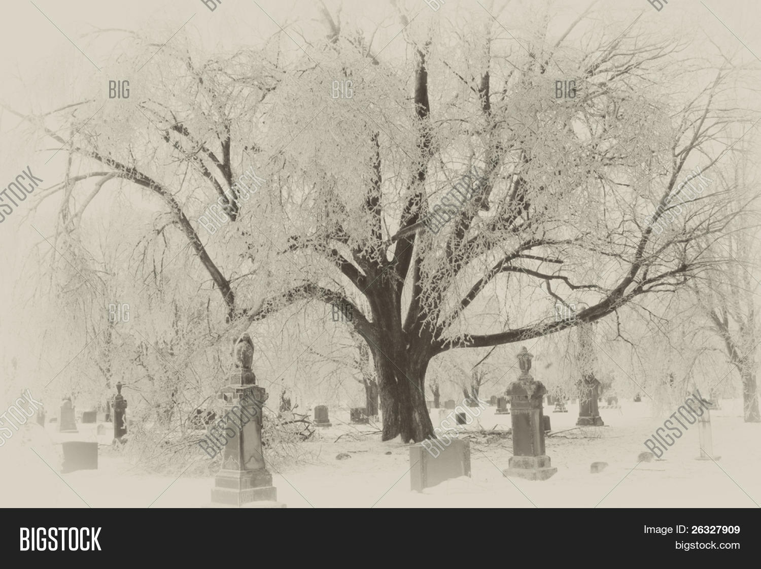 Old Cemetery Winter Image & Photo (Free Trial) | Bigstock