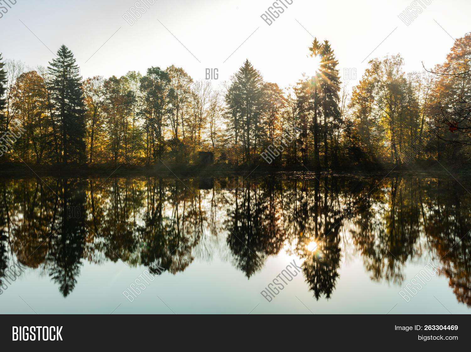 Landscape River. Trees Image & Photo (Free Trial) | Bigstock