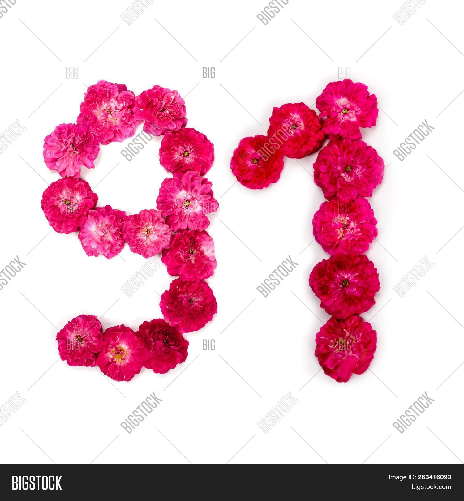 Number 91 Flowers Red Image & Photo (Free Trial) | Bigstock
