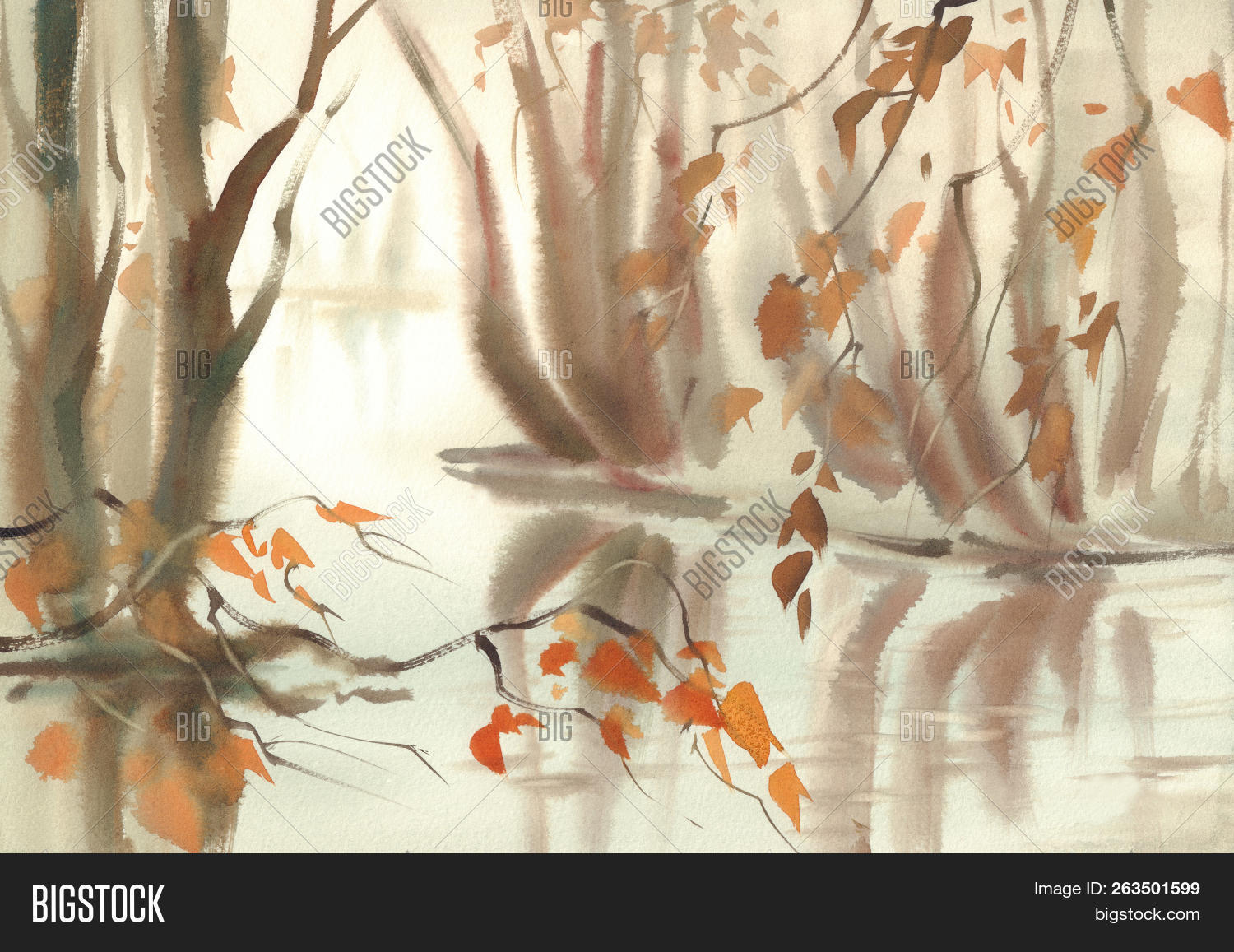 Wallpaper Trees Landscape Colorful Fall Water