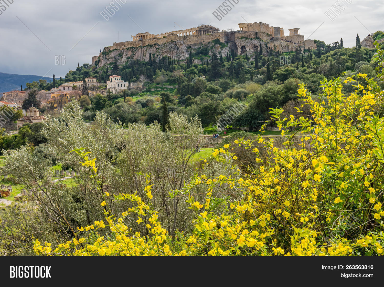 Yellow Flowers Ancient Image & Photo (Free Trial) | Bigstock