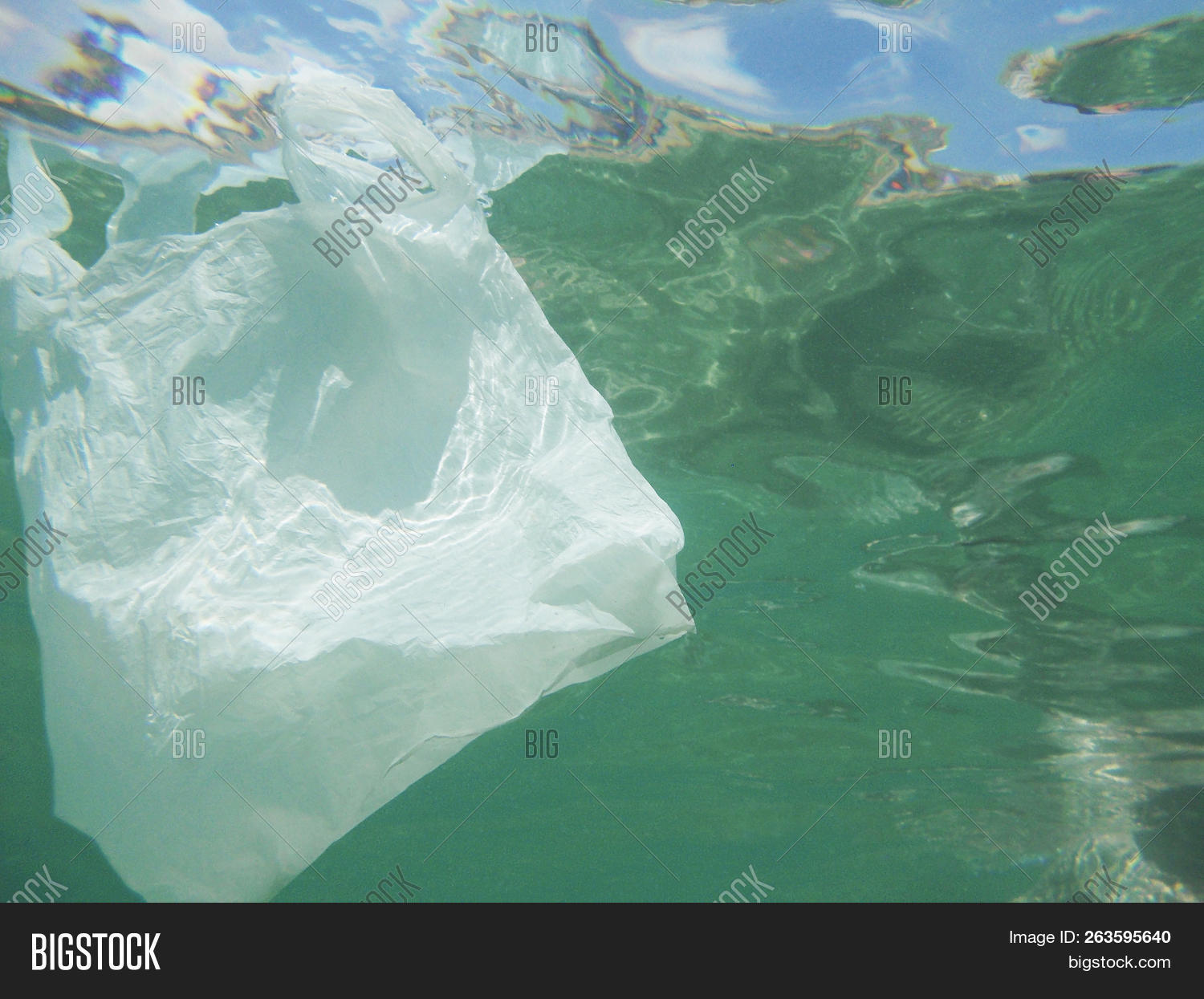Plastic Bag Floating Image & Photo (Free Trial) | Bigstock