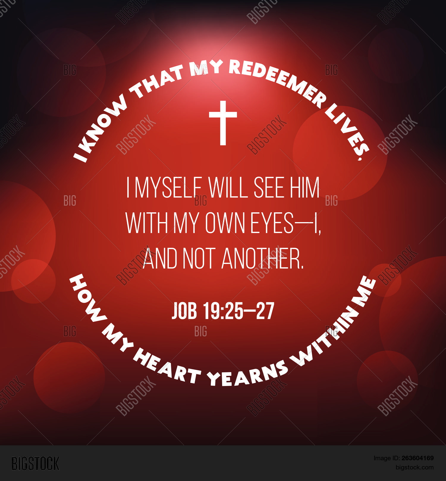 Bible Verse Job 19, Vector & Photo (Free Trial) | Bigstock