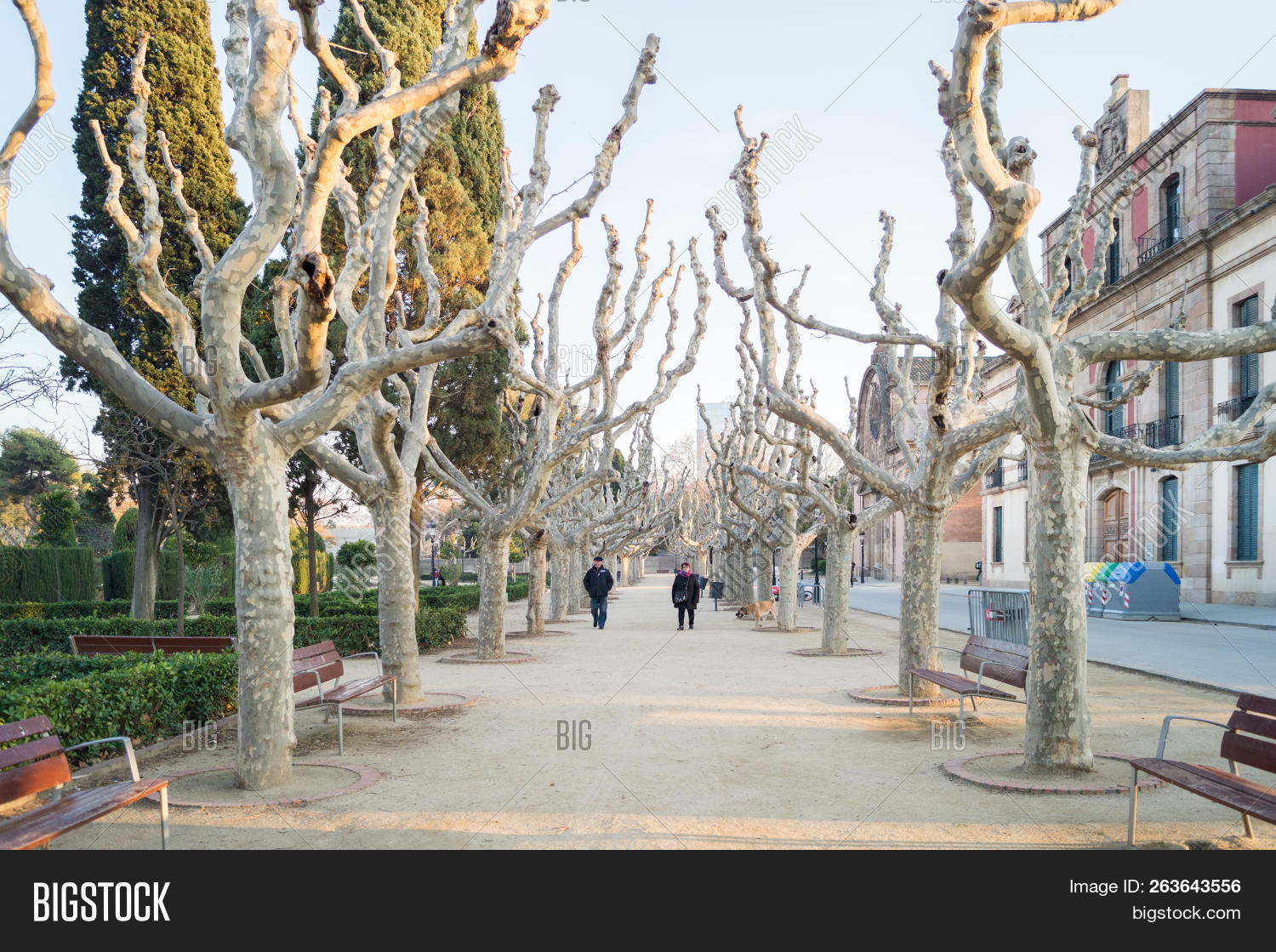 Barcelona, Spain - Image & Photo (Free Trial) | Bigstock