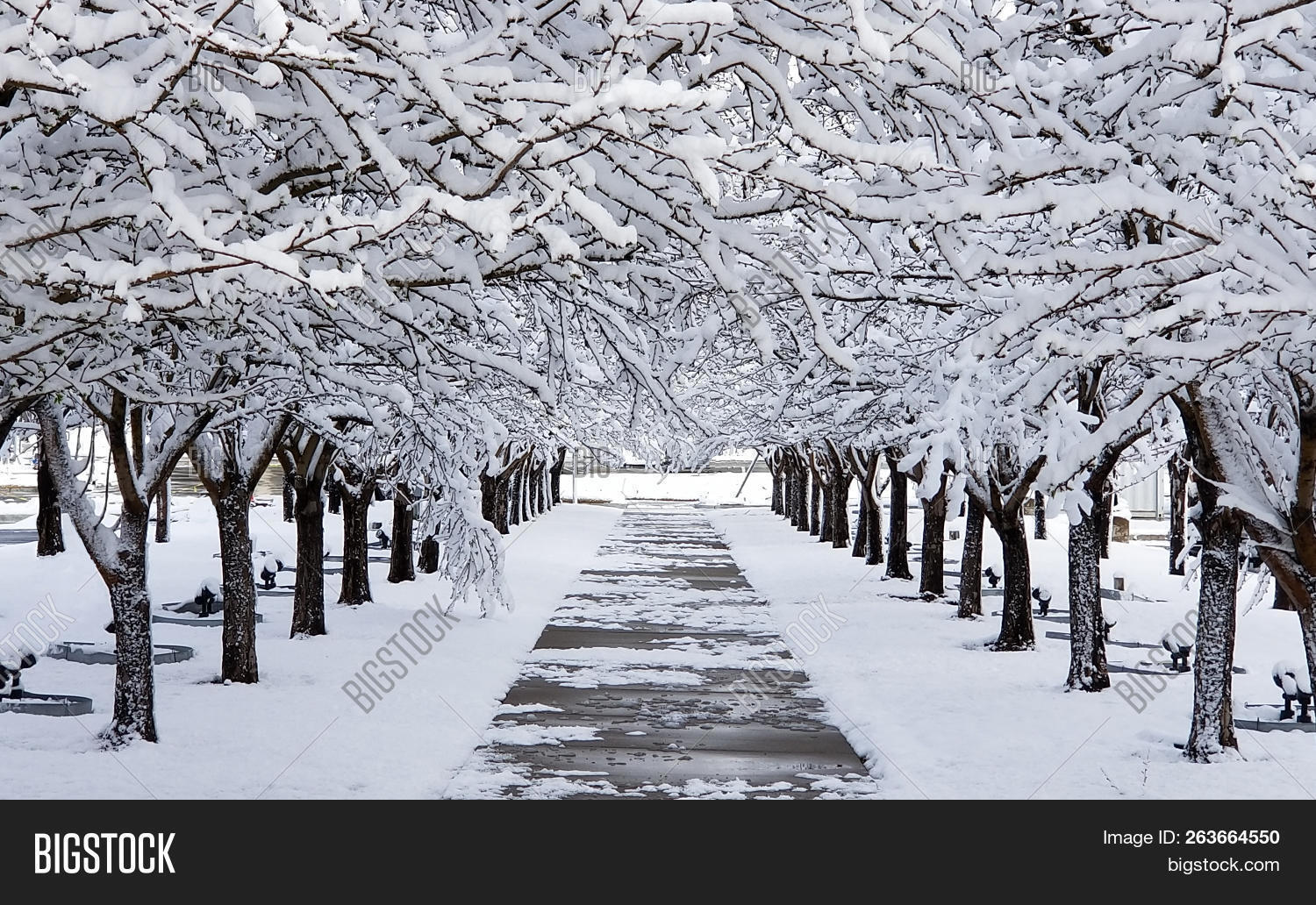 Urban Winter Landscape Image & Photo (Free Trial) | Bigstock