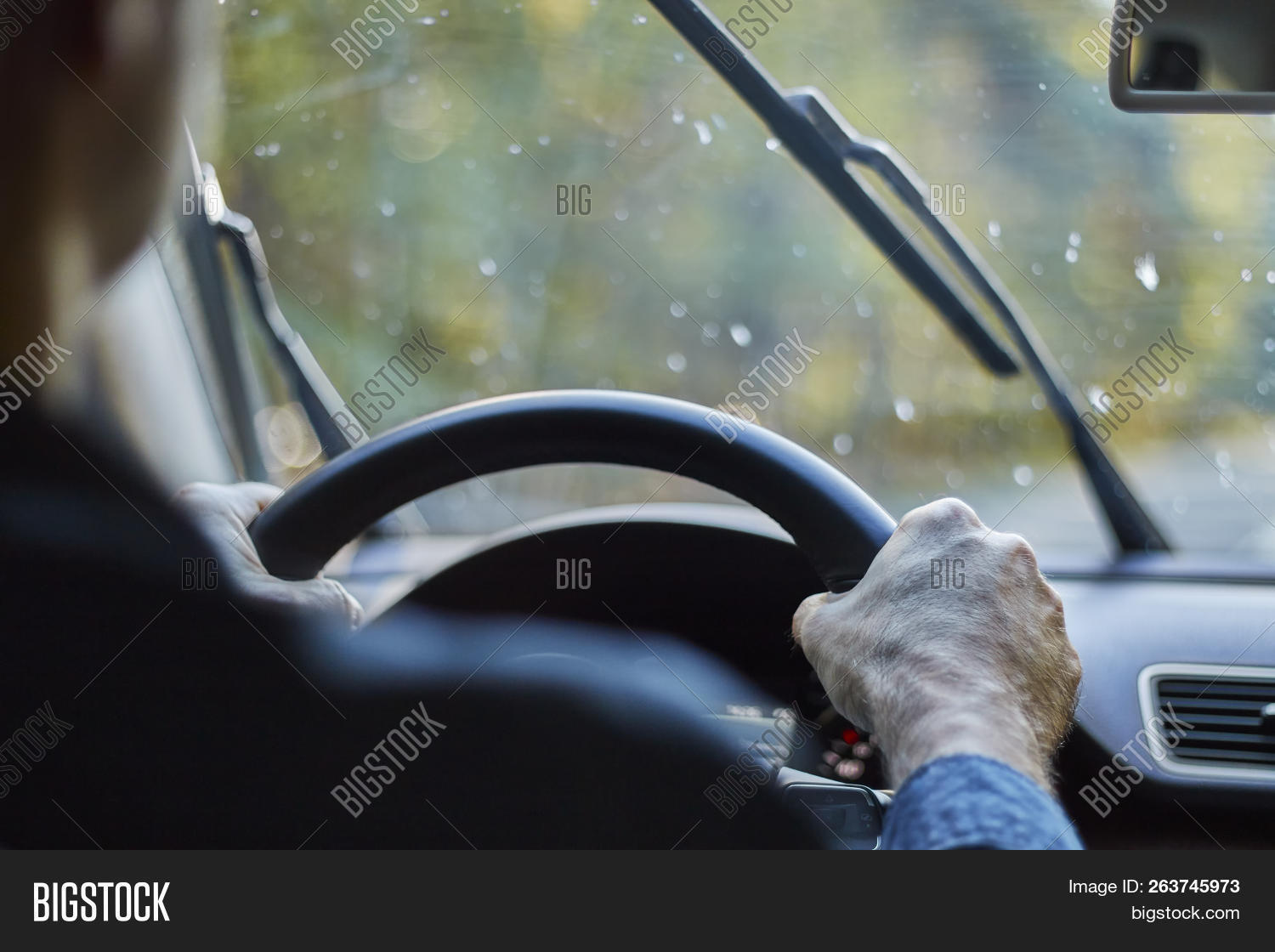 Back View Man Driving Image & Photo (Free Trial) | Bigstock