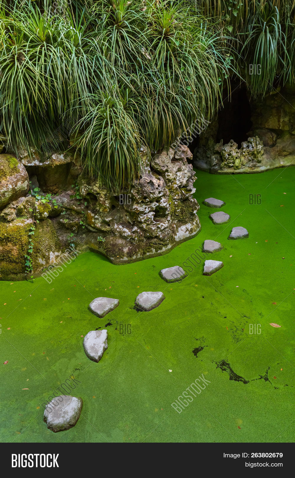 Grotto Castle Quinta Image & Photo (Free Trial) | Bigstock