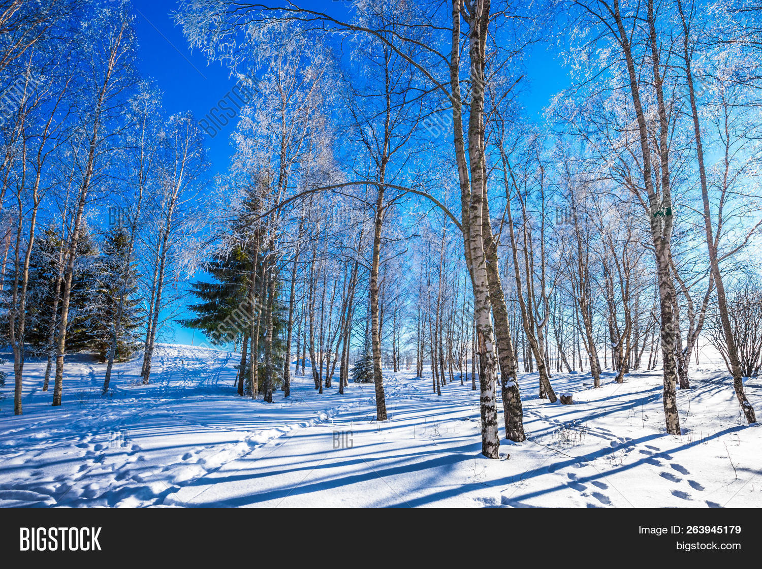Dull Polar Winter Sun Image & Photo (Free Trial) | Bigstock